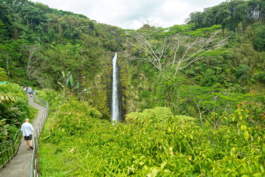Explore Hilo Hawaii